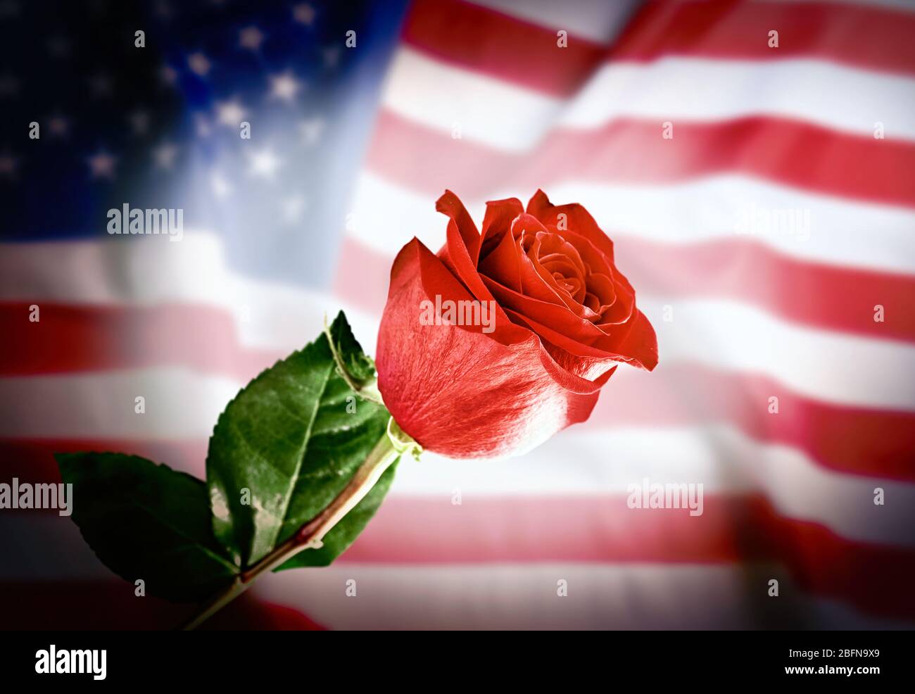 Luther rose hi-res stock photography and images - Alamy