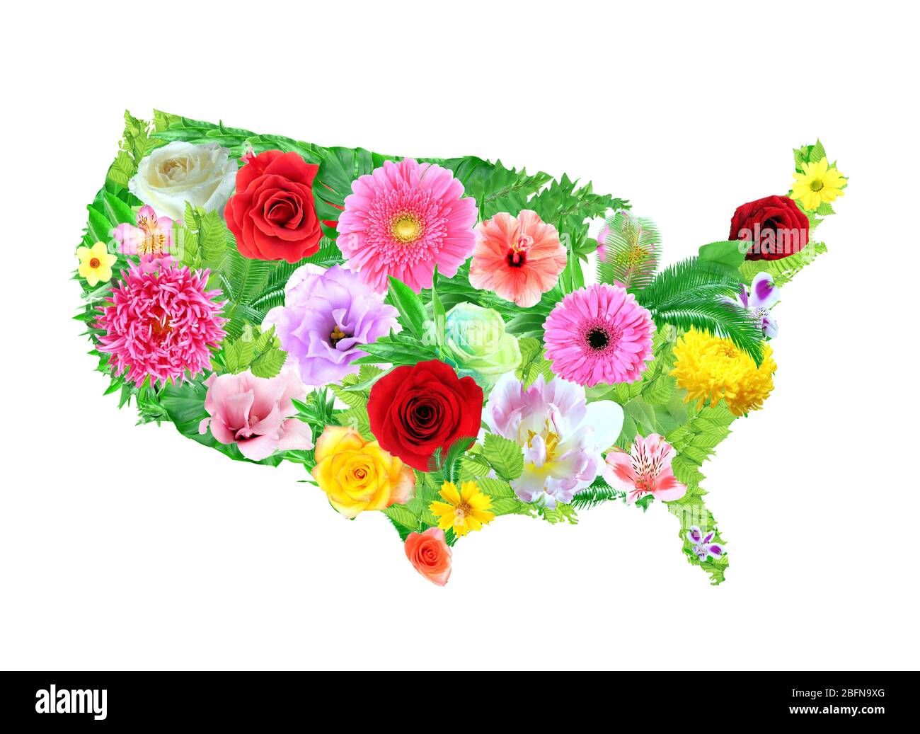 Floral design of USA map on white background Stock Photo - Alamy