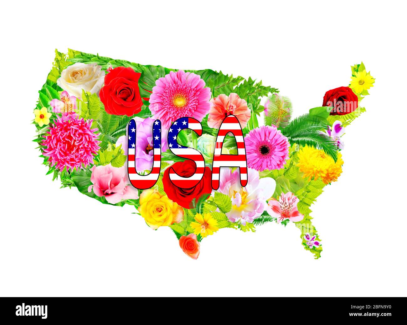 Floral design of USA map on white background Stock Photo - Alamy