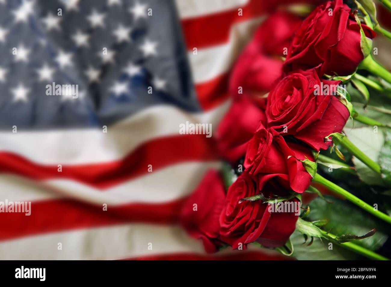 Roses on USA flag background. Symbol of America Stock Photo - Alamy