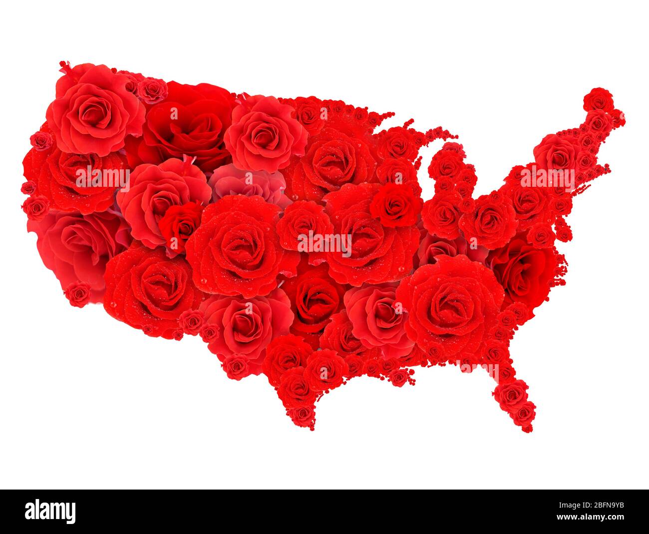 Floral design of USA map on white background Stock Photo - Alamy