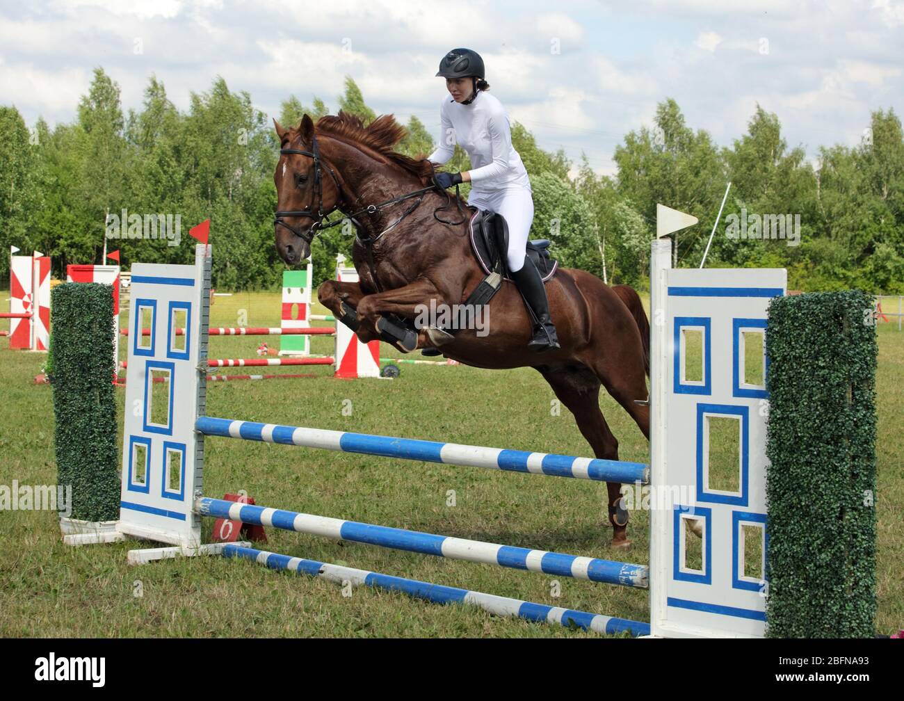 Equestrian girl jumping obstacle sportive horse Stock Photo - Alamy