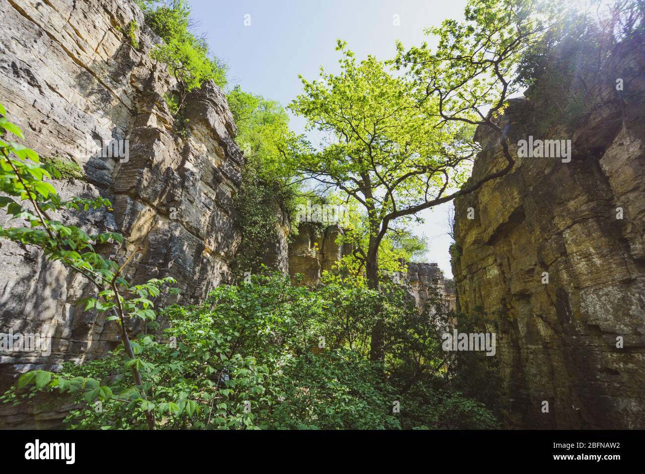 In the rocks - Felsengärten Hessigheim - South of Germany - behind the ...