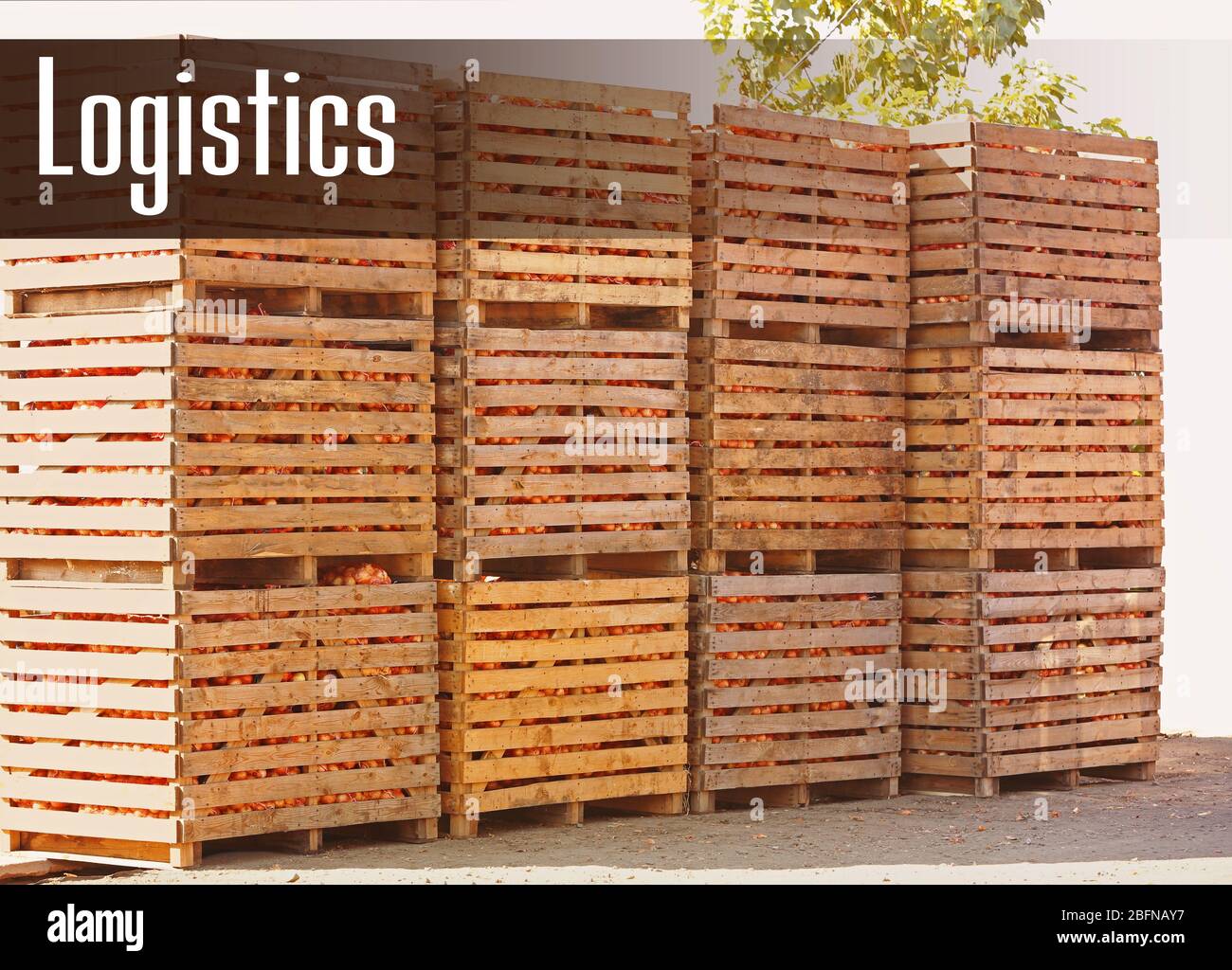 Wooden crates with harvest, outdoor. Word LOGISTICS on background ...
