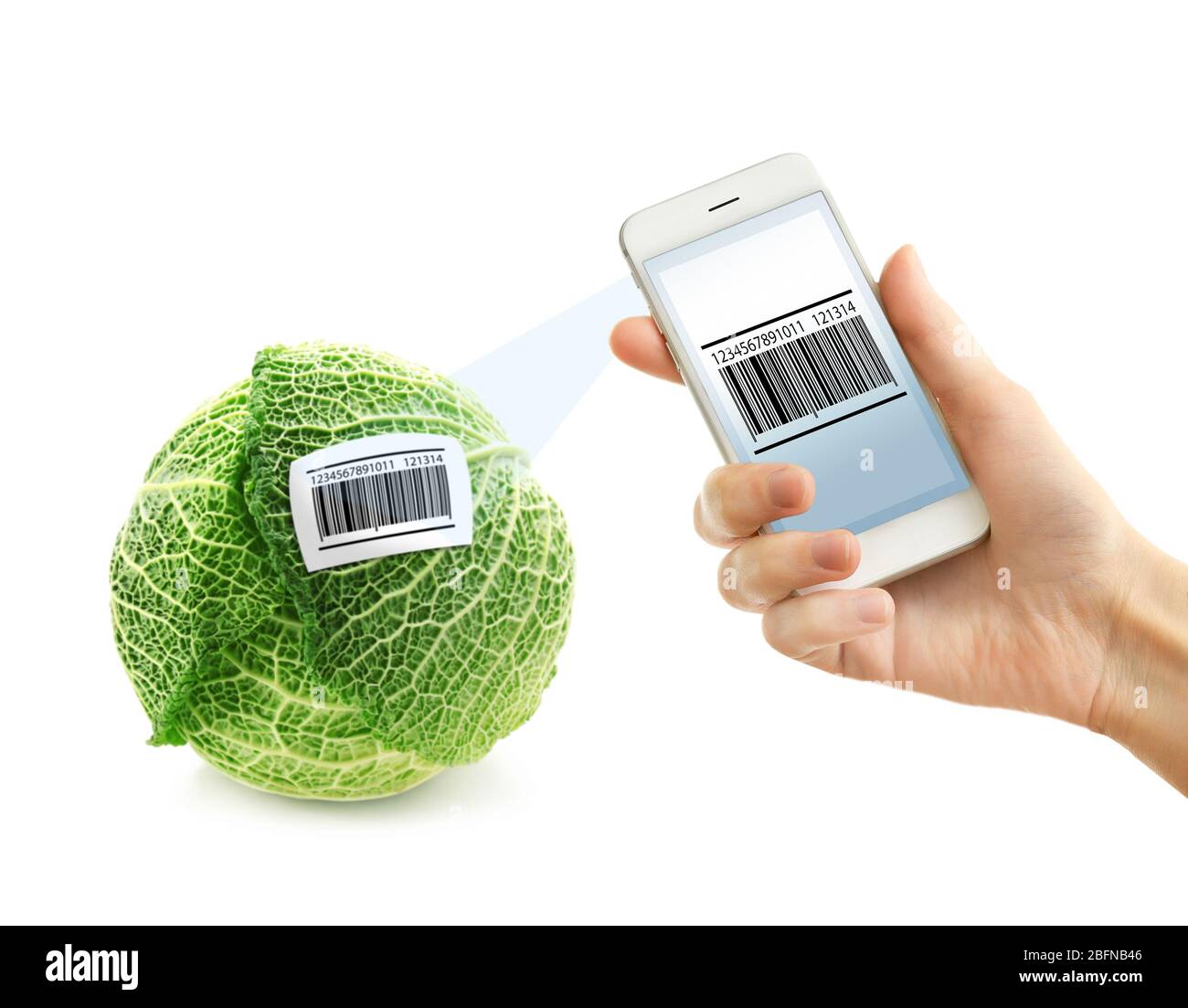 Woman using application for scanning barcode, closeup. White background ...