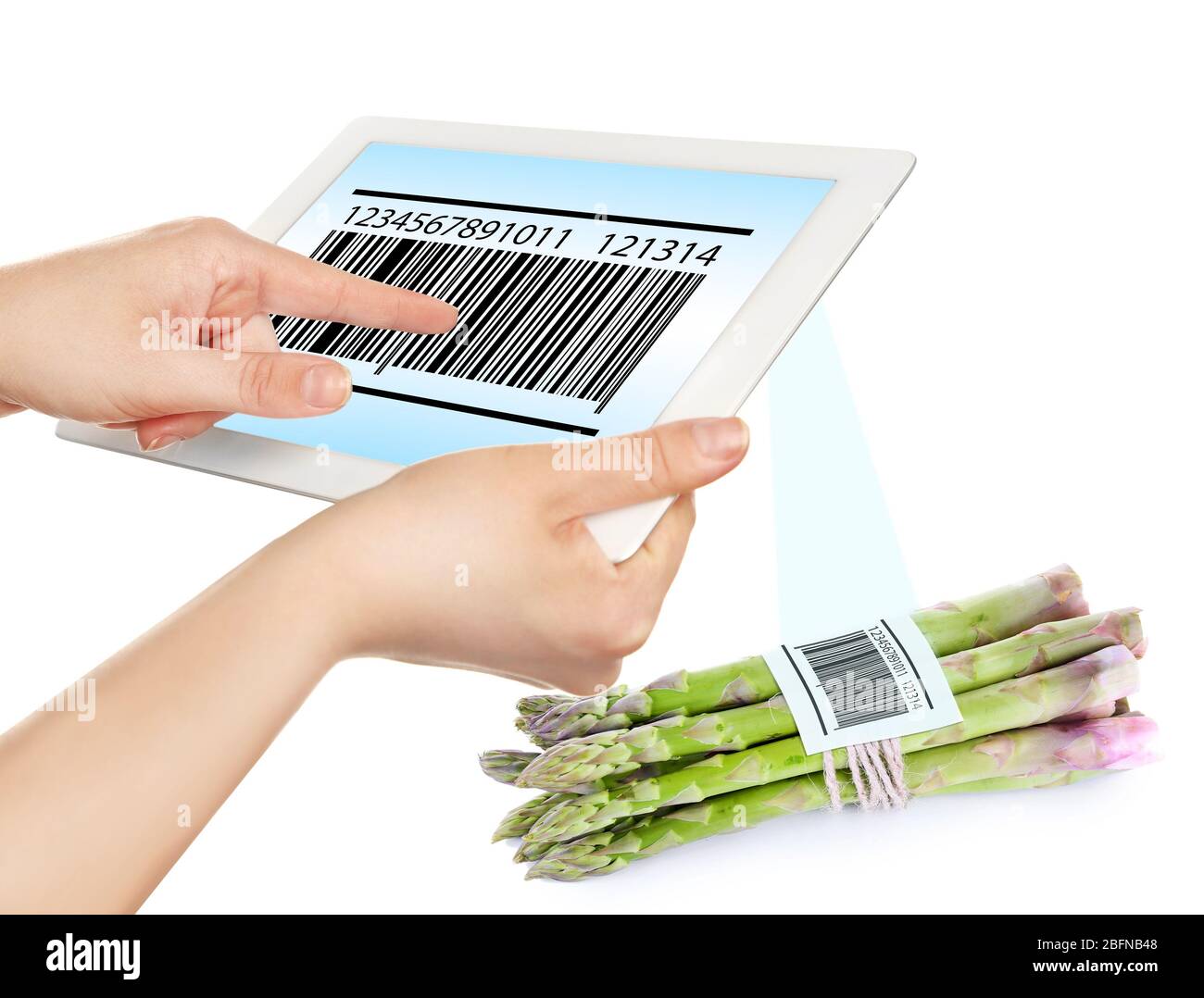 Woman using application for scanning barcode, closeup. White background ...
