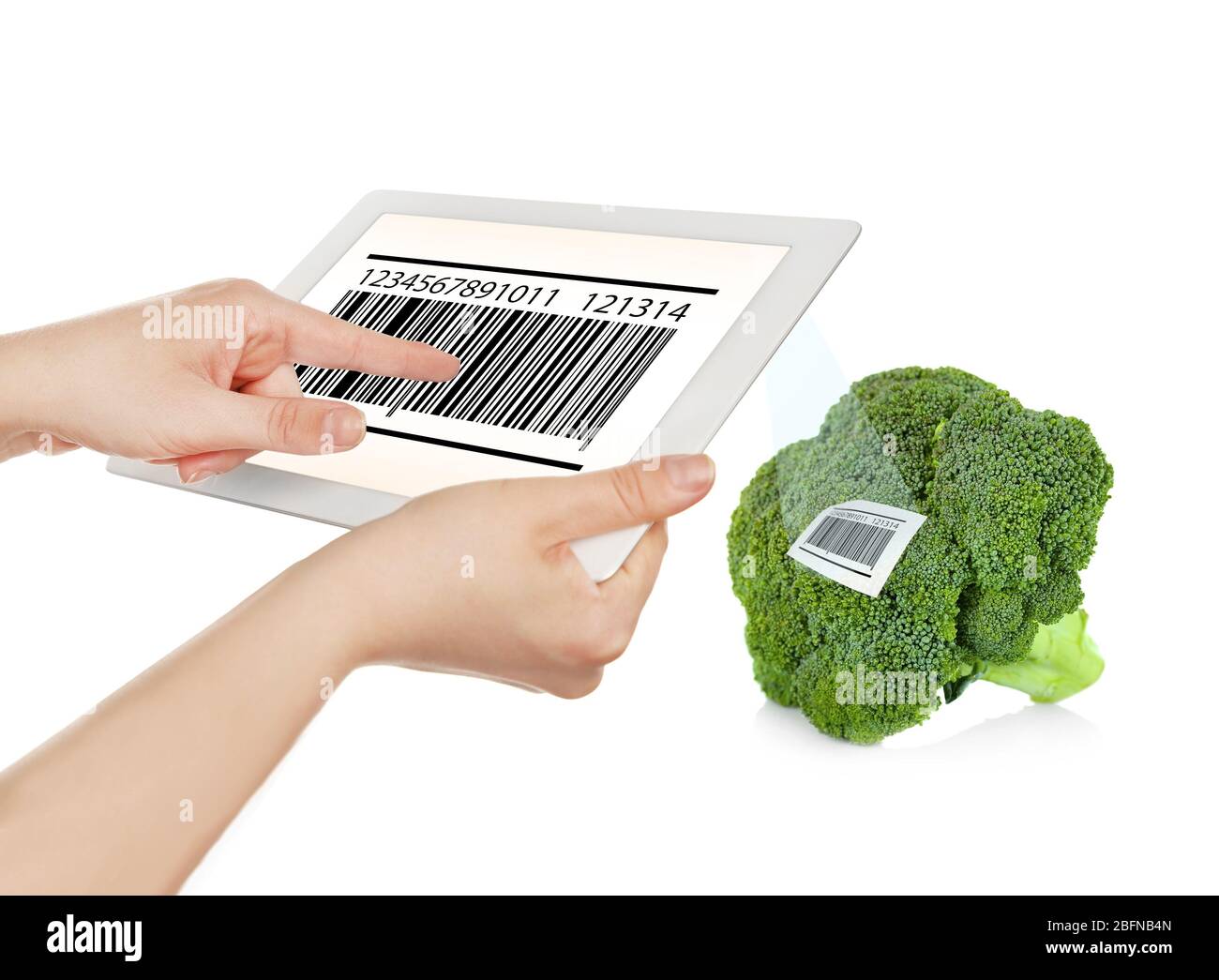 Woman using application for scanning barcode, closeup. White background ...