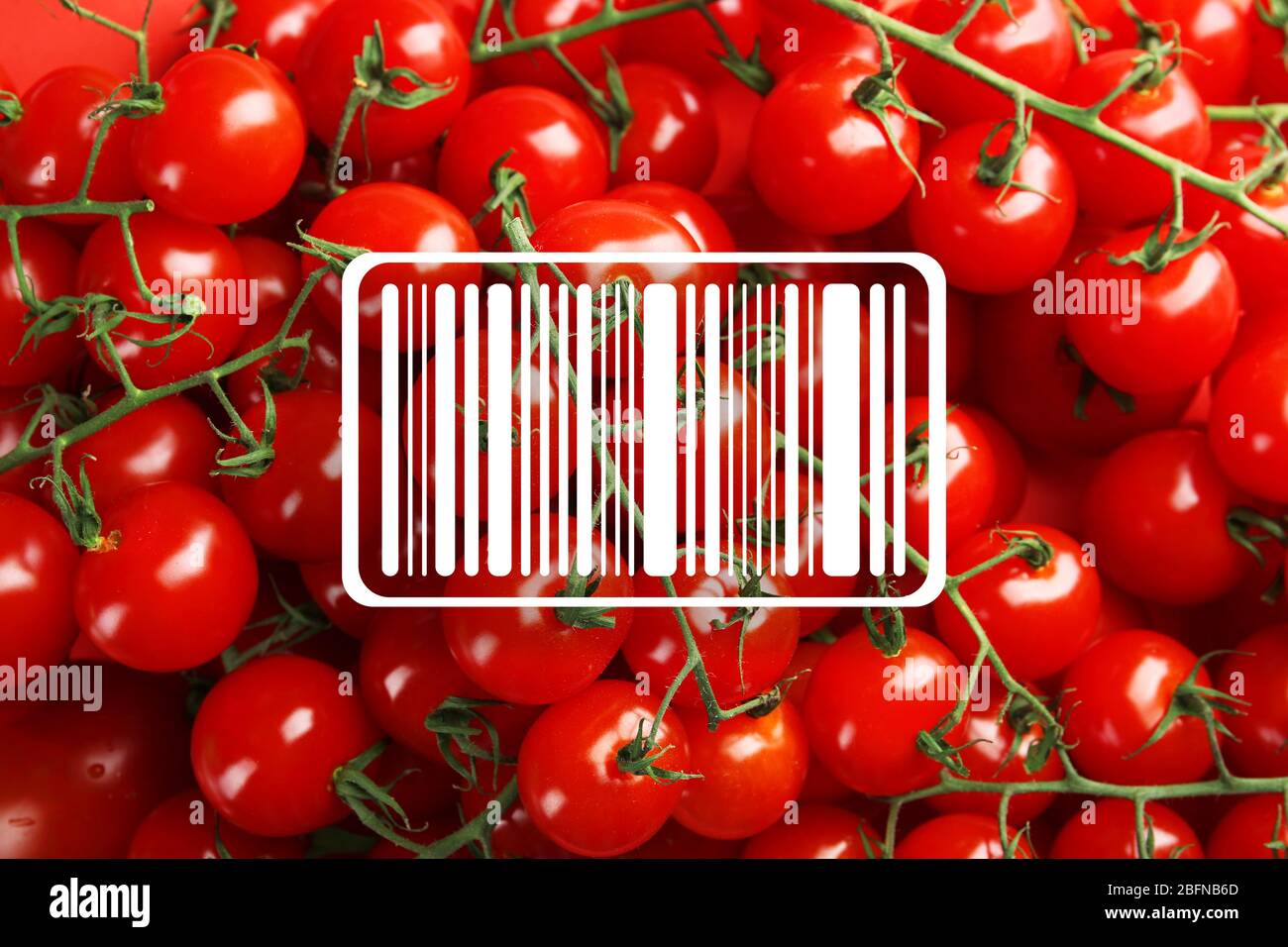 Barcode on tomatoes background. Wholesale and retail concept Stock ...