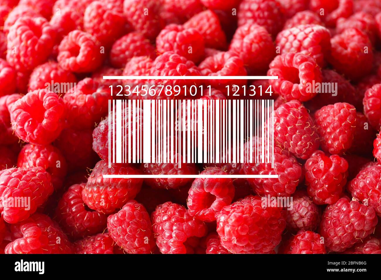 Barcode on berries background. Wholesale and retail concept Stock Photo ...