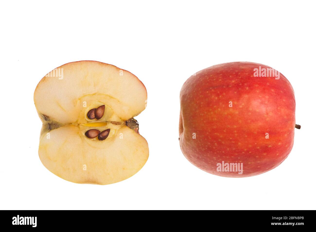 one and a half an apple ready to eat on white background detailed macro ...