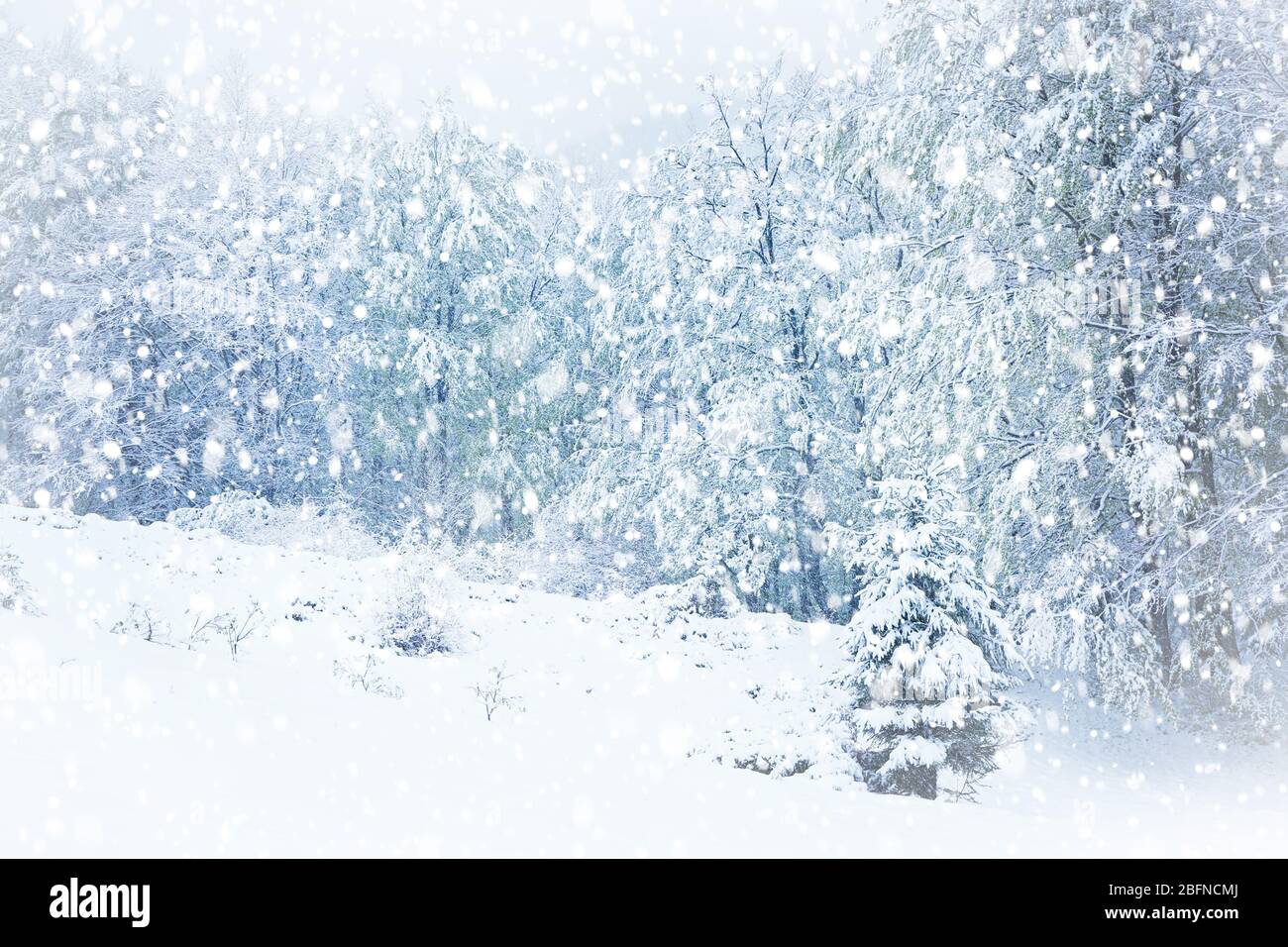 Beautiful winter landscape during snow storm Stock Photo - Alamy