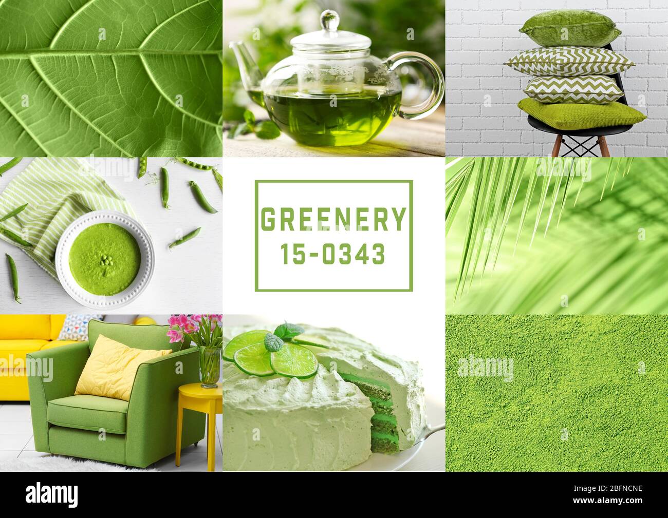 Trendy color concept. Set with greenery color Stock Photo - Alamy