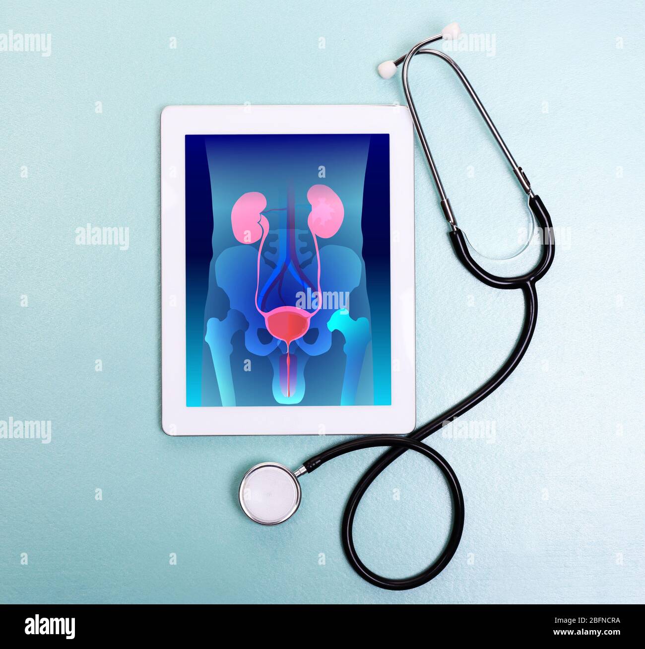 Tablet and stethoscope on color background. Urinary system on screen ...