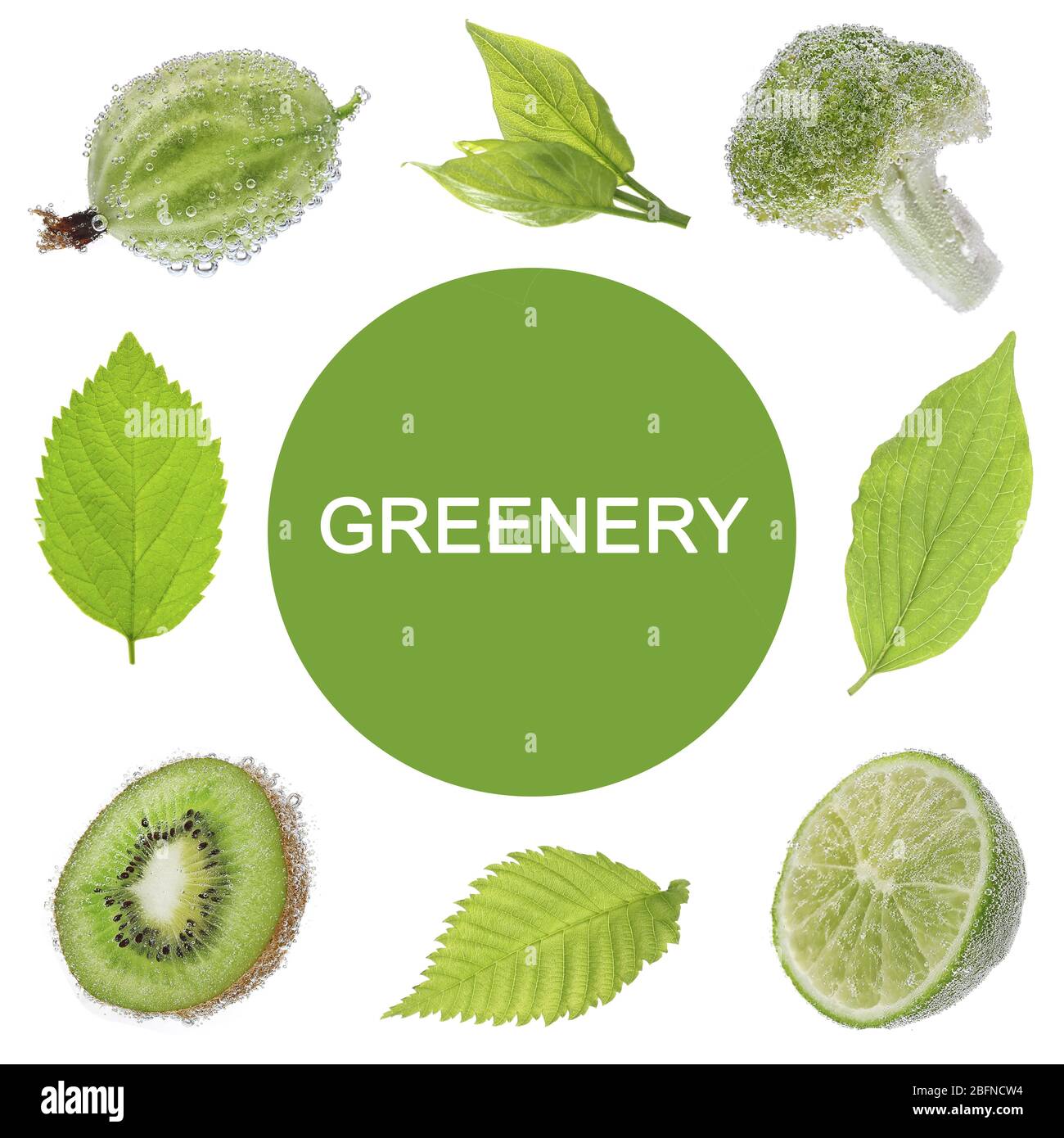 Trendy color concept. Set with greenery color on white background Stock ...