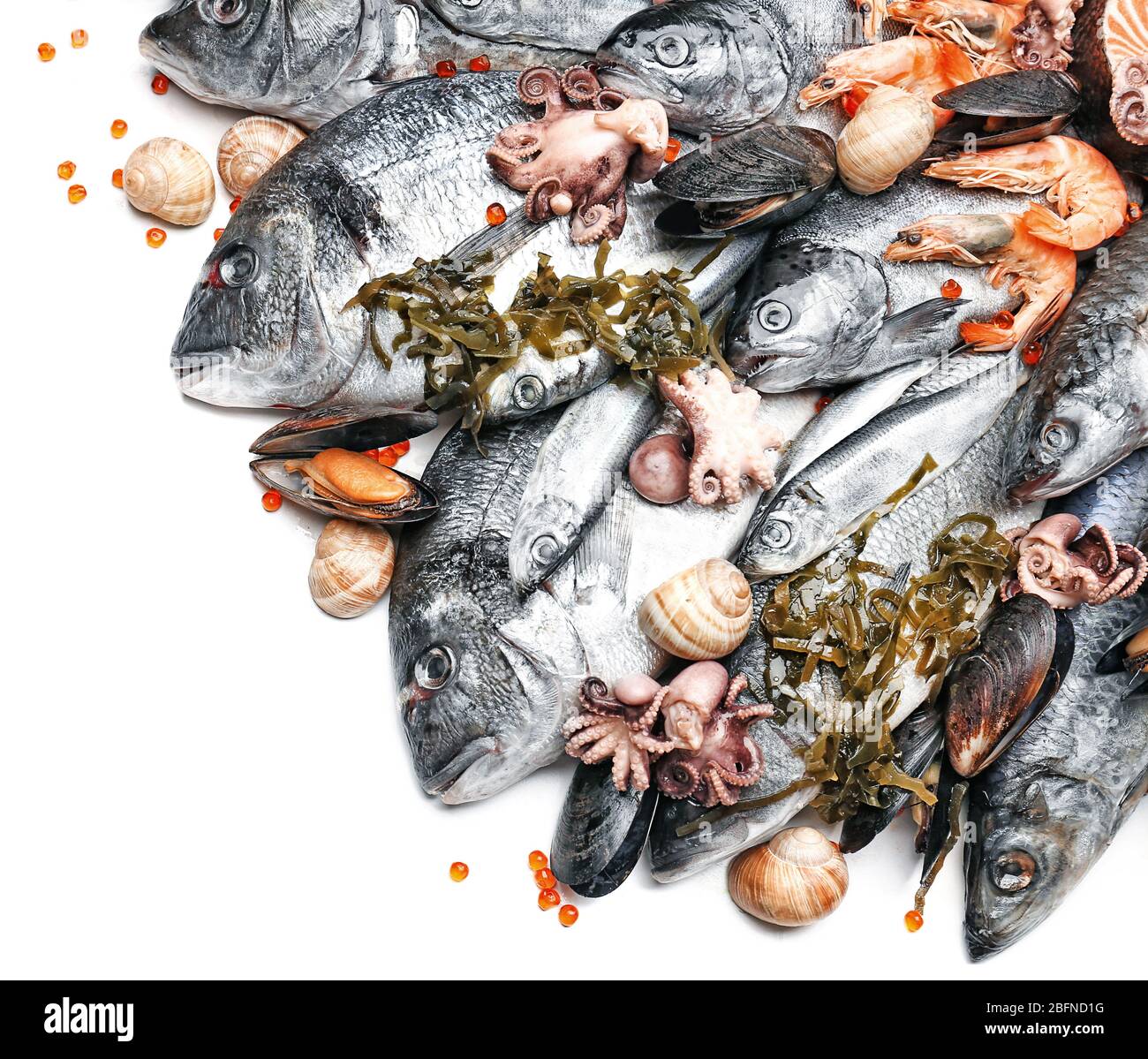 Fresh fish and seafood on white background Stock Photo - Alamy