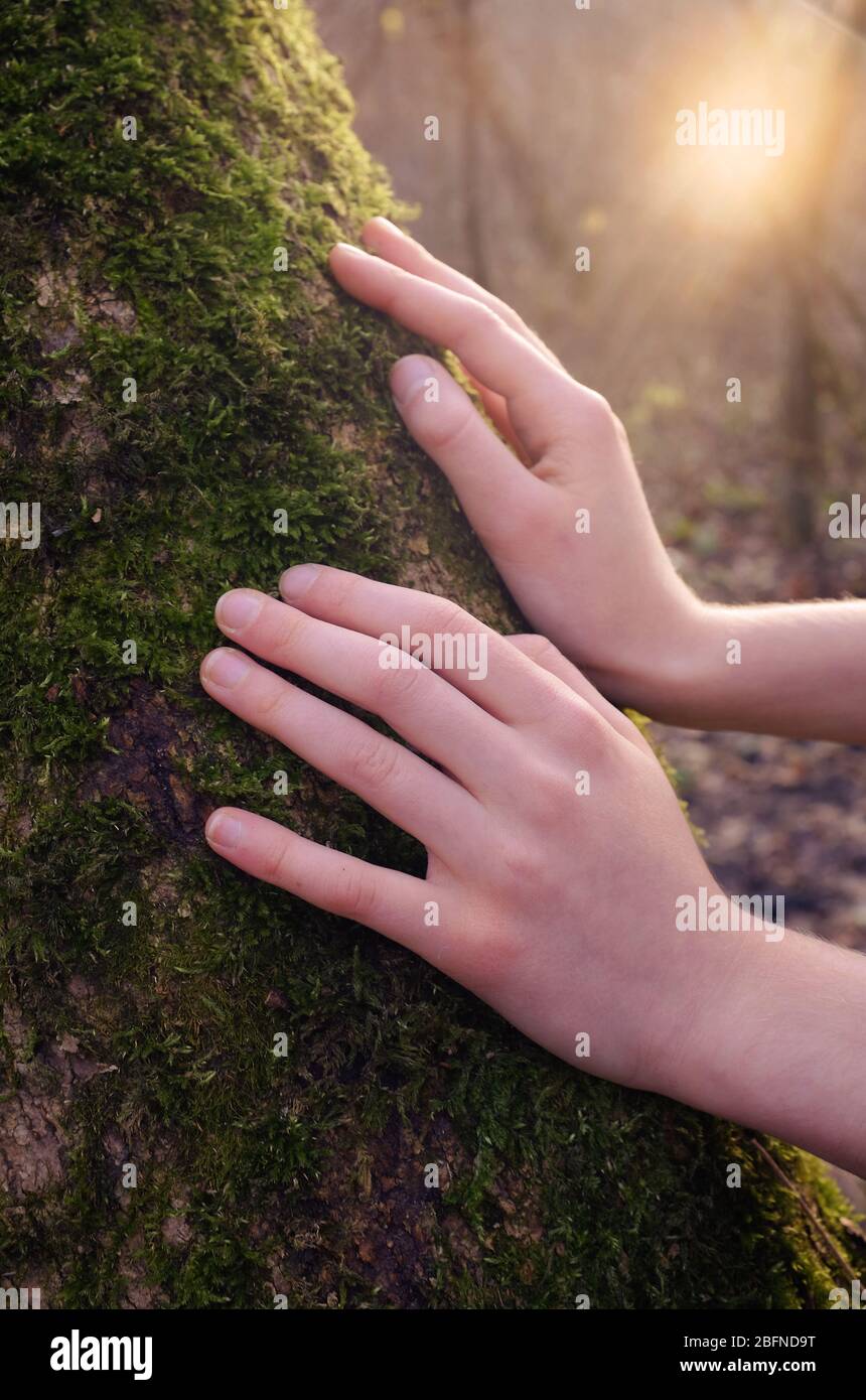 The child laid his hands on the trunk of a mossy tree, in the ...
