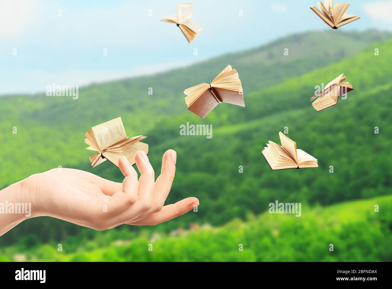 Female hand and flying books on landscape background Stock Photo - Alamy