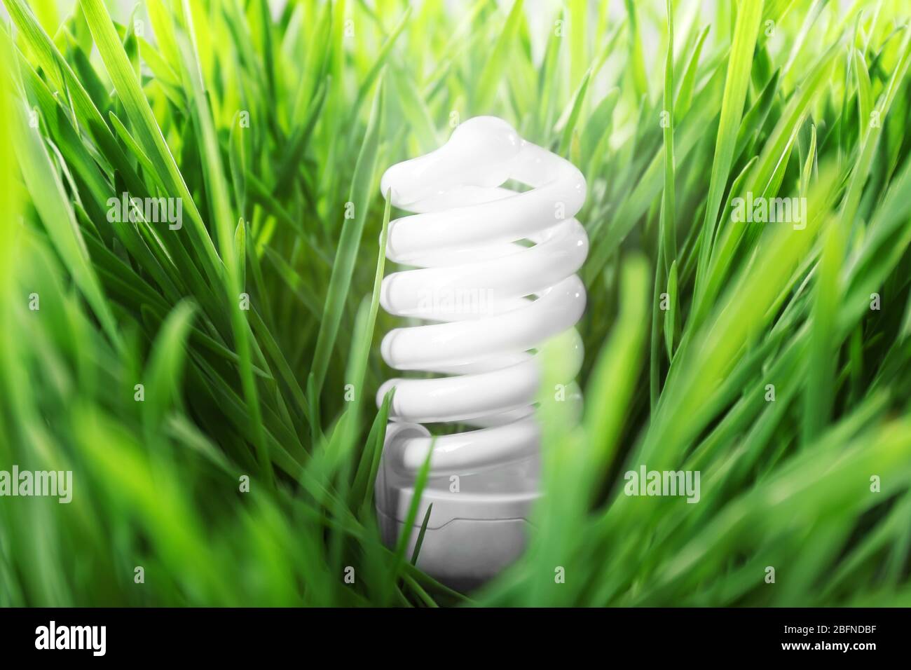 Light bulb on green grass Stock Photo - Alamy