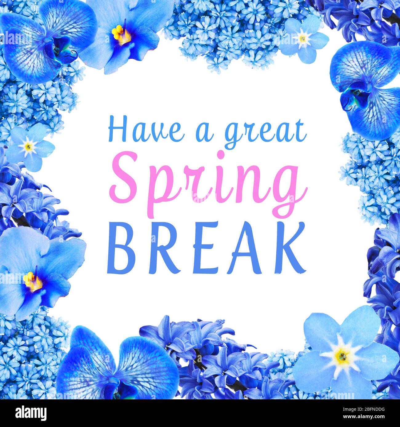 Spring Break Background