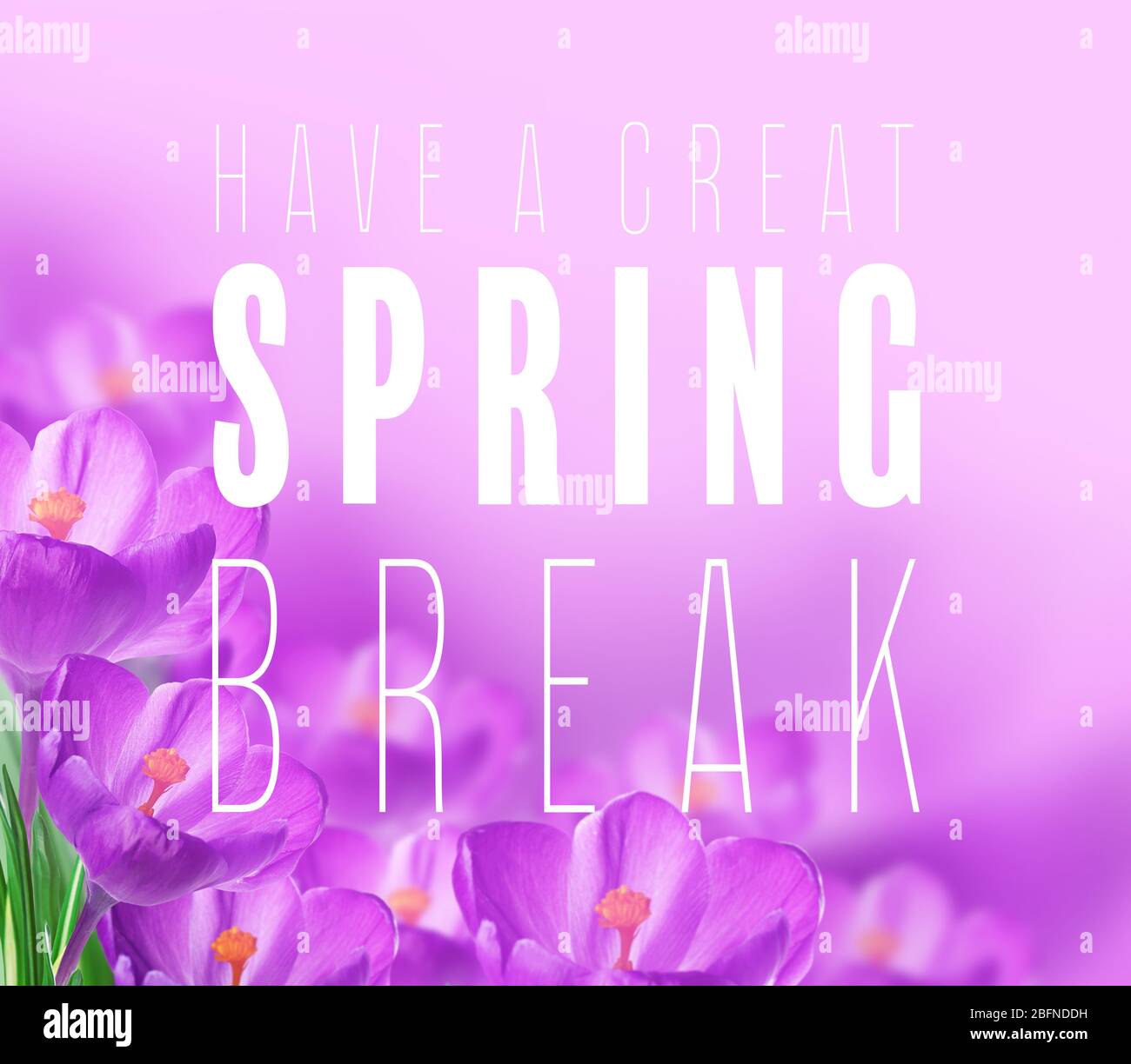 Text HAVE A GREAT SPRING BREAK and flowers on color background ...