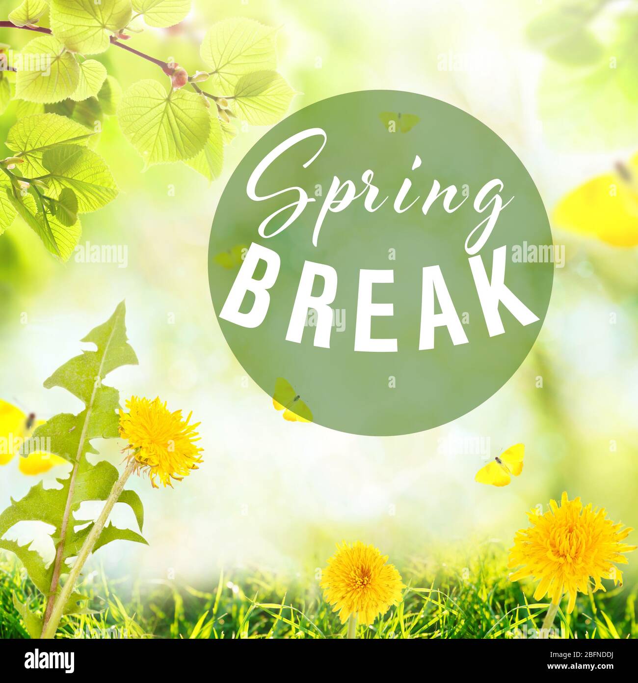 homework text with Back to school wallpaper. homework and School ...