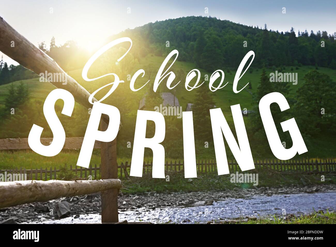 Text SCHOOL SPRING on nature background. Additional education concept ...