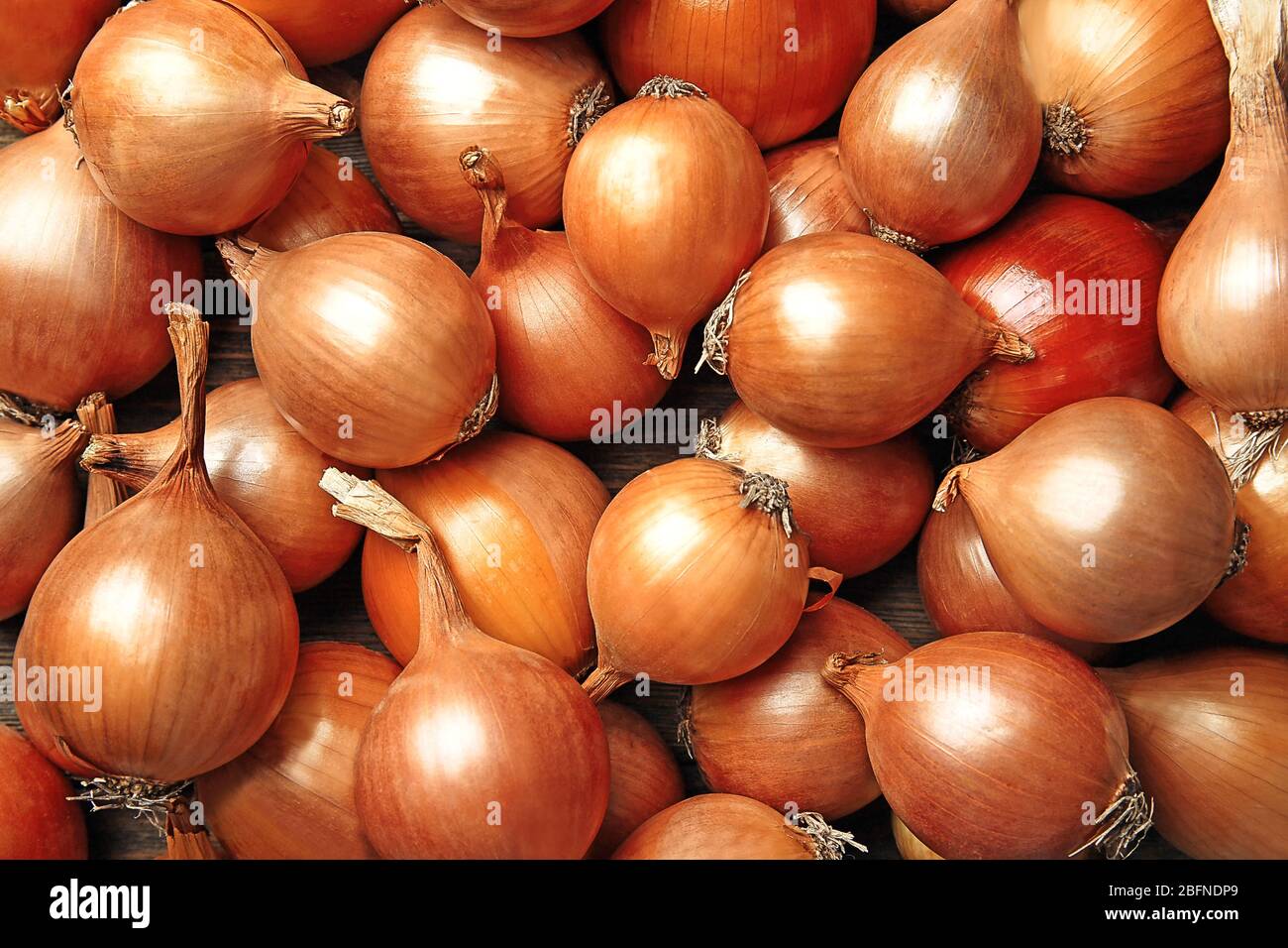 Export of onions hi-res stock photography and images - Alamy