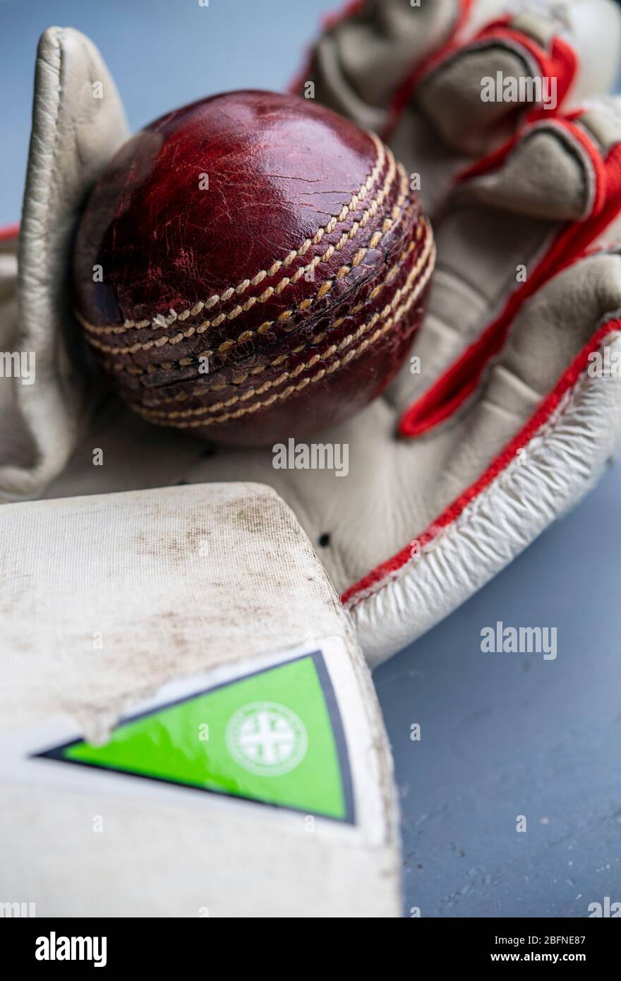 Basic cricket equipment including a ball, bat and gloves Stock Photo ...