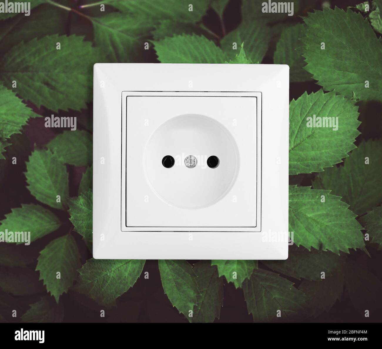 Socket on green leaves background Stock Photo - Alamy