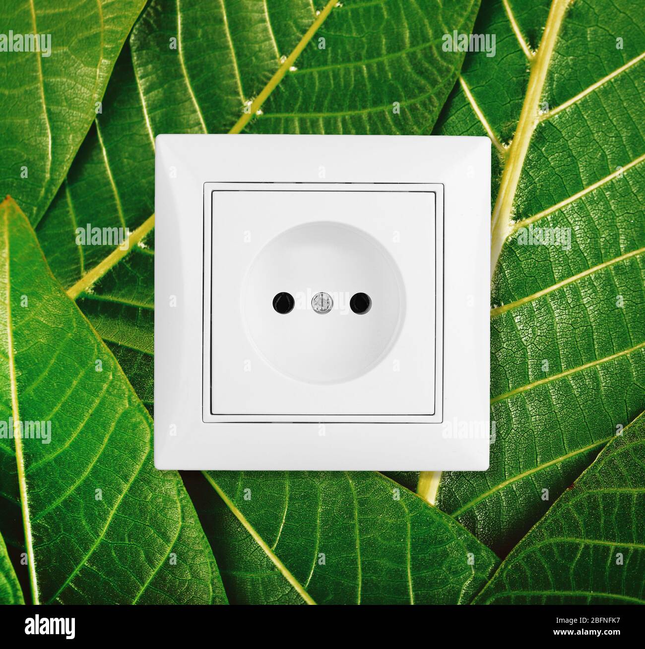 Power socket on green wallpaper hi-res stock photography and images - Alamy