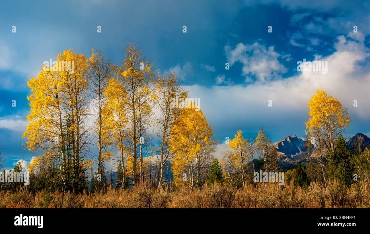 Sawtooth national forest hi-res stock photography and images - Alamy