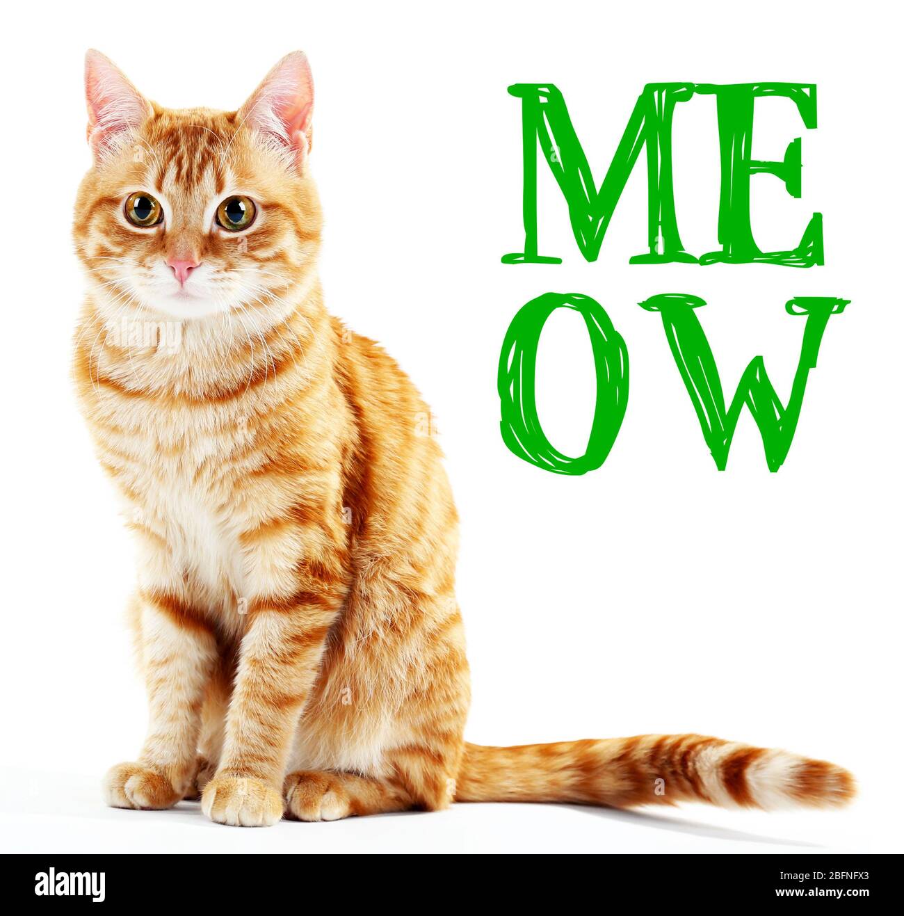 Meow cat Cut Out Stock Images & Pictures - Alamy