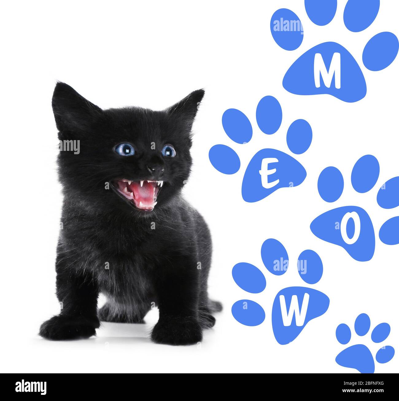 Cute kitten and word MEOW on white background Stock Photo - Alamy