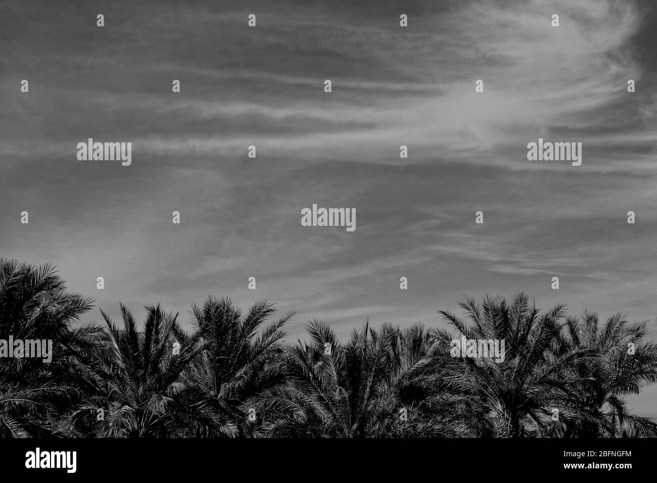 Blue background patterned Black and White Stock Photos & Images - Alamy