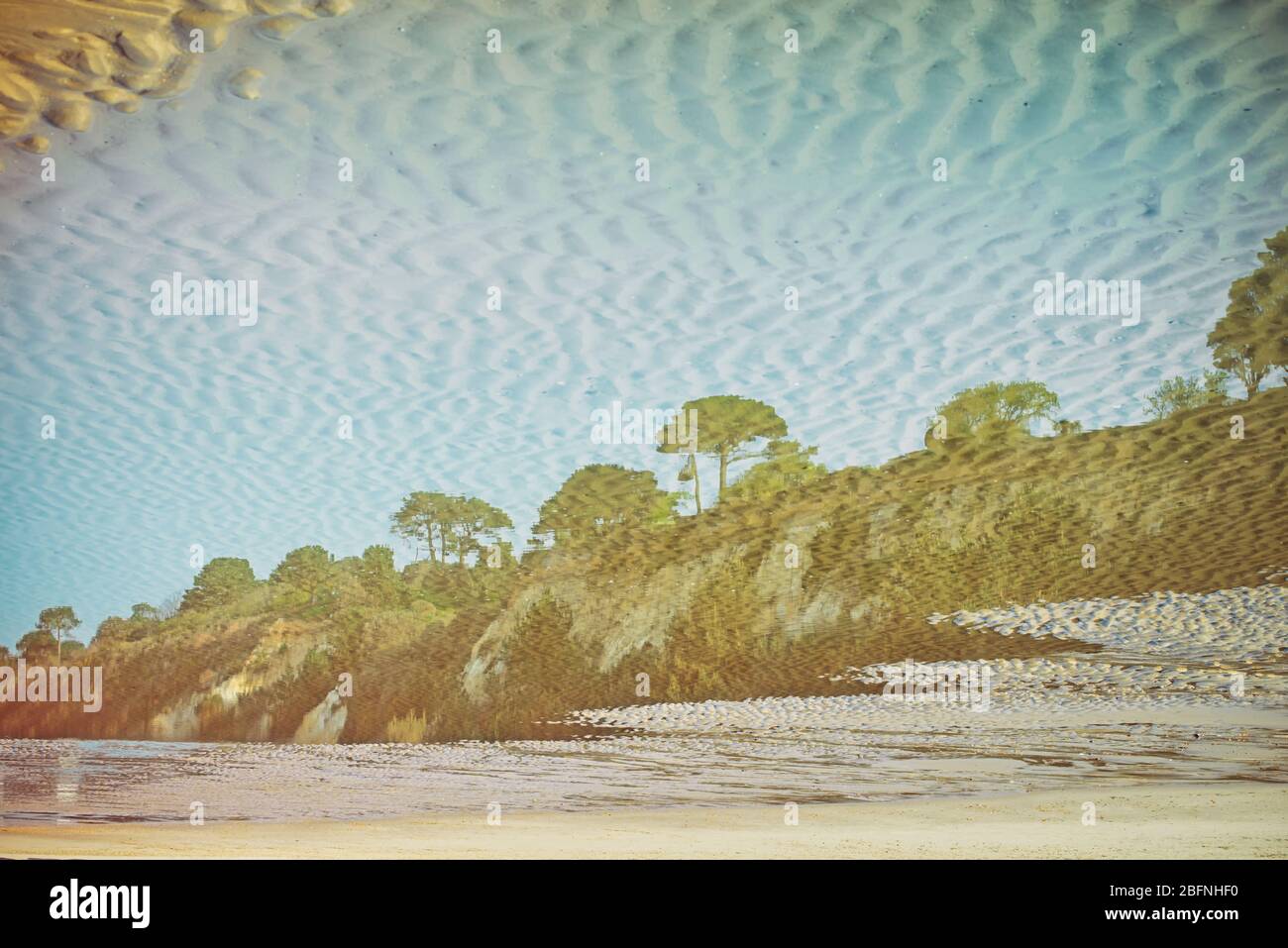 Bournemouth pine hi-res stock photography and images - Alamy