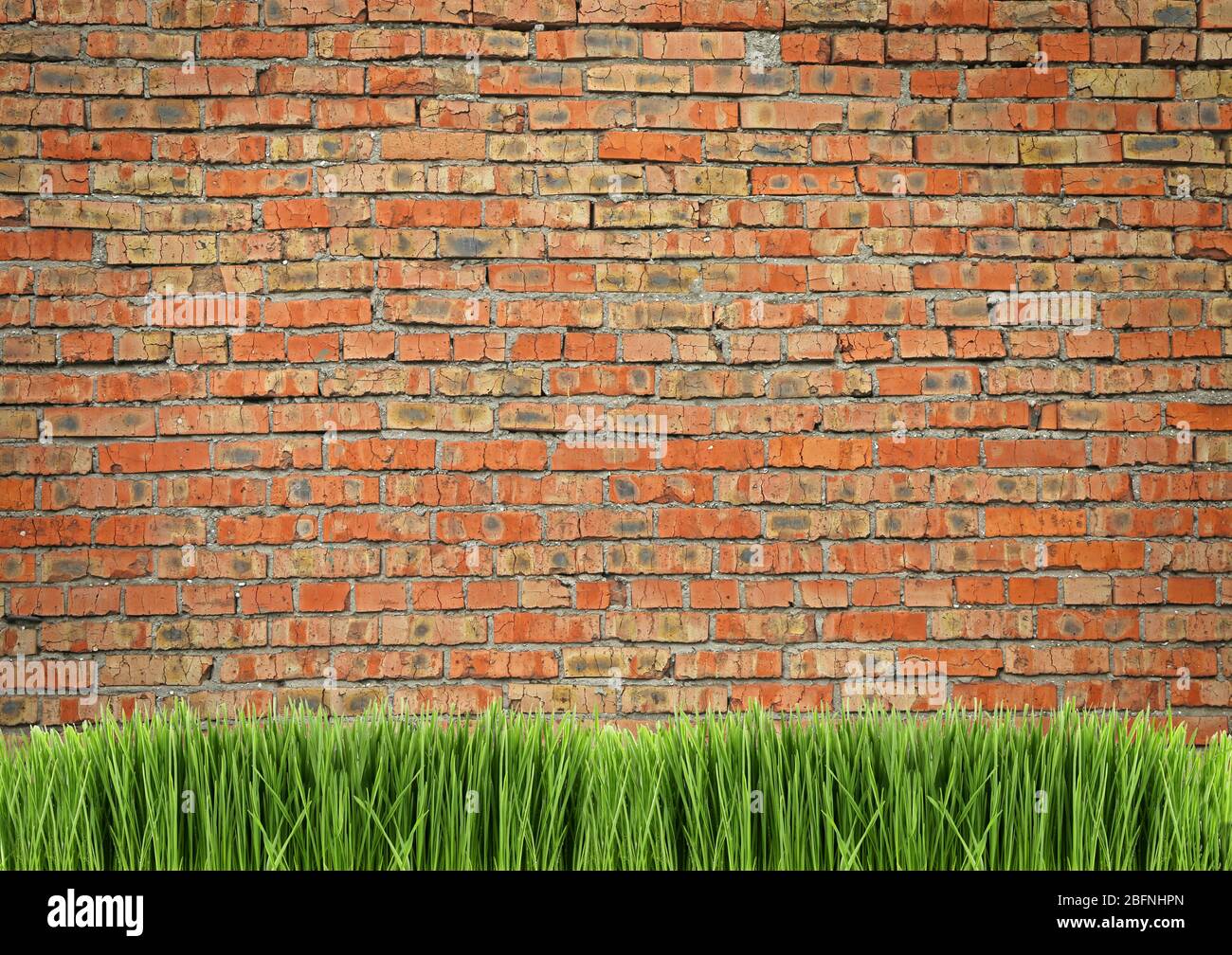 Grass on brick wall hi-res stock photography and images - Alamy