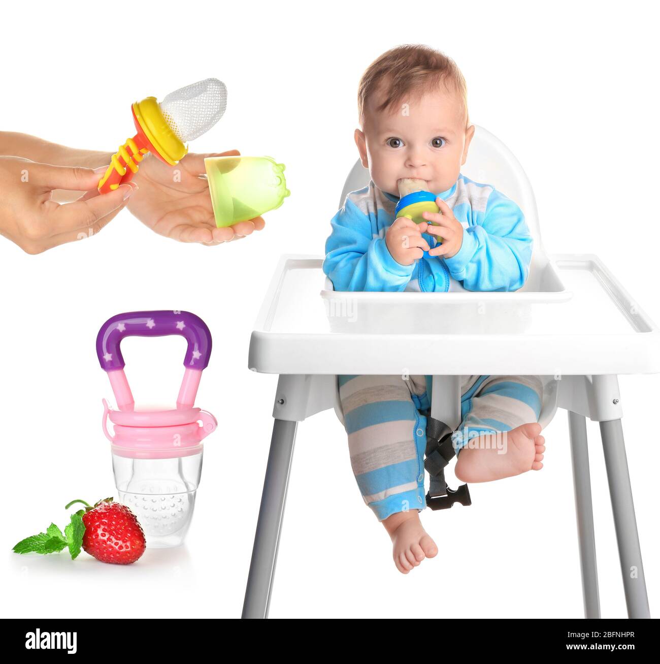 Baby sitting in high chair and female hands with nibbler on white ...