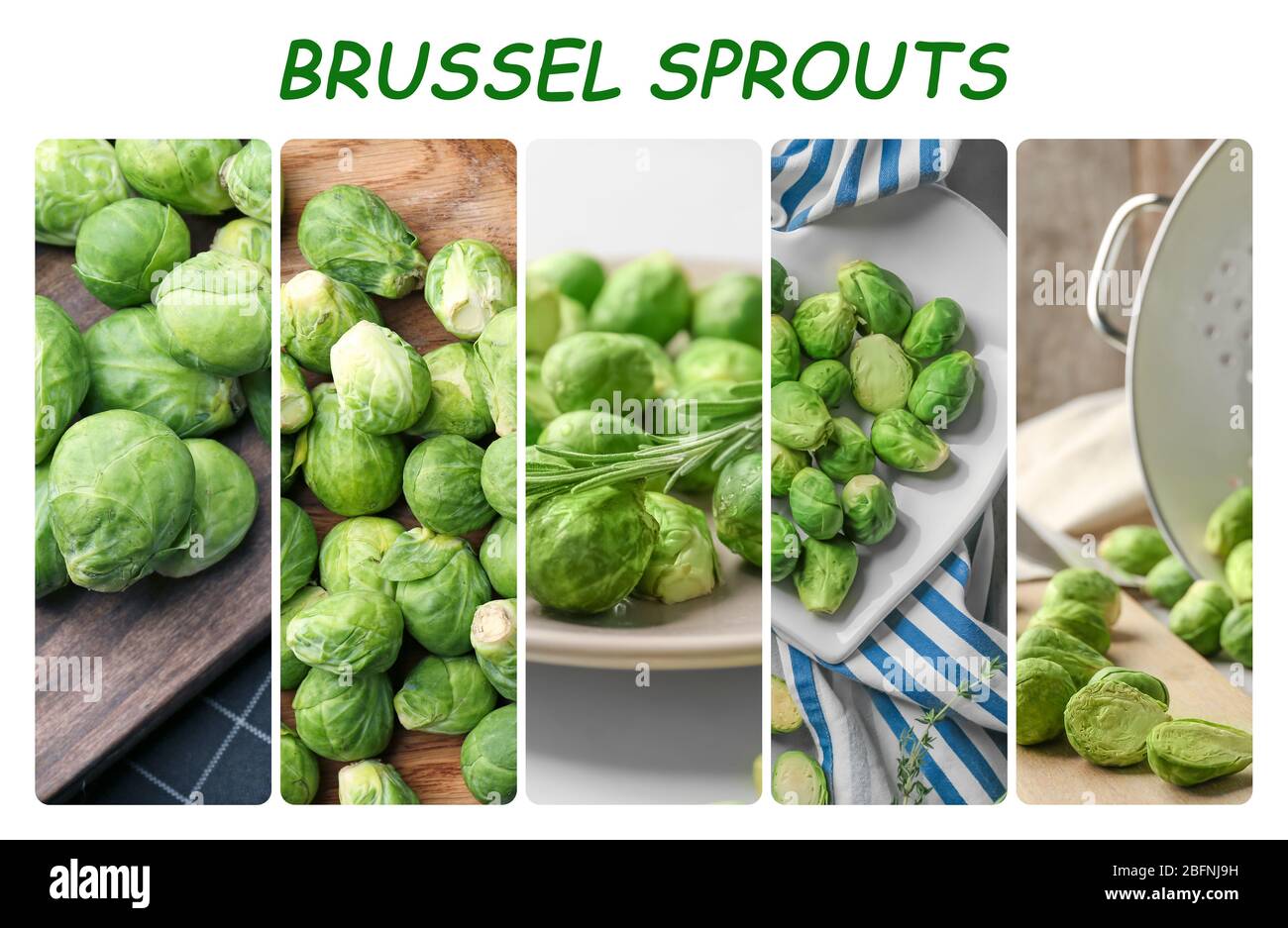 Brussel collage hi-res stock photography and images - Alamy