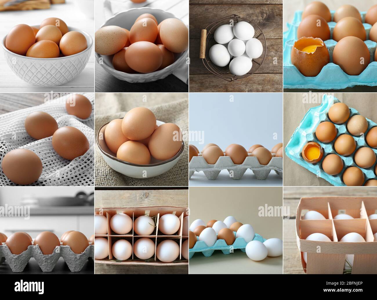Collage hen hi-res stock photography and images - Alamy