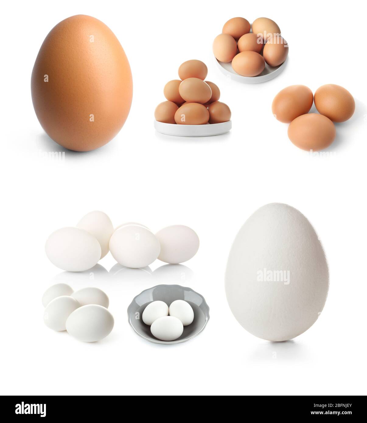 Collage hen hi-res stock photography and images - Alamy