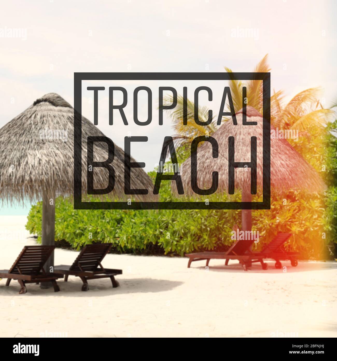 Text TROPICAL BEACH and landscape on background Stock Photo - Alamy