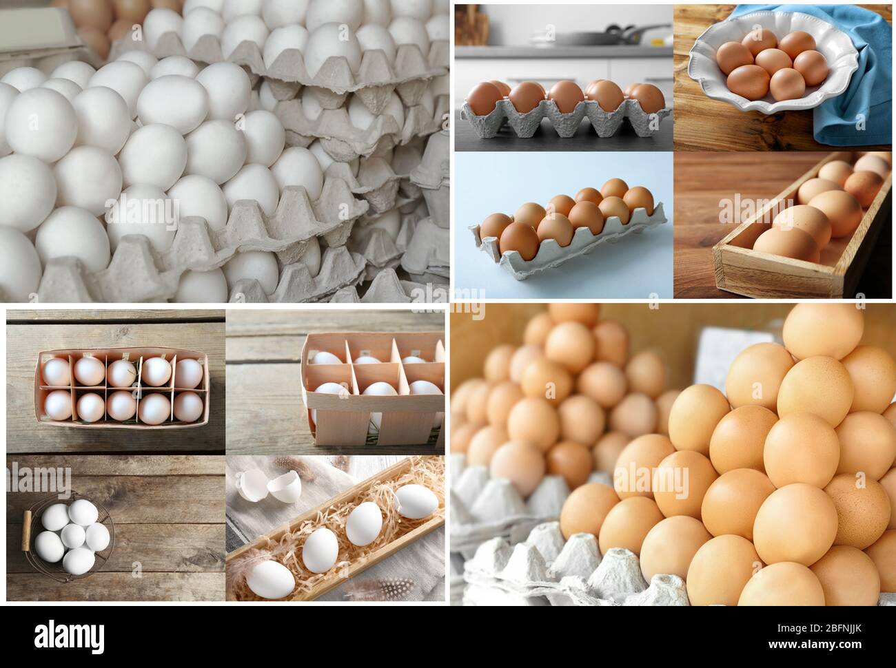 Collage hen hi-res stock photography and images - Alamy