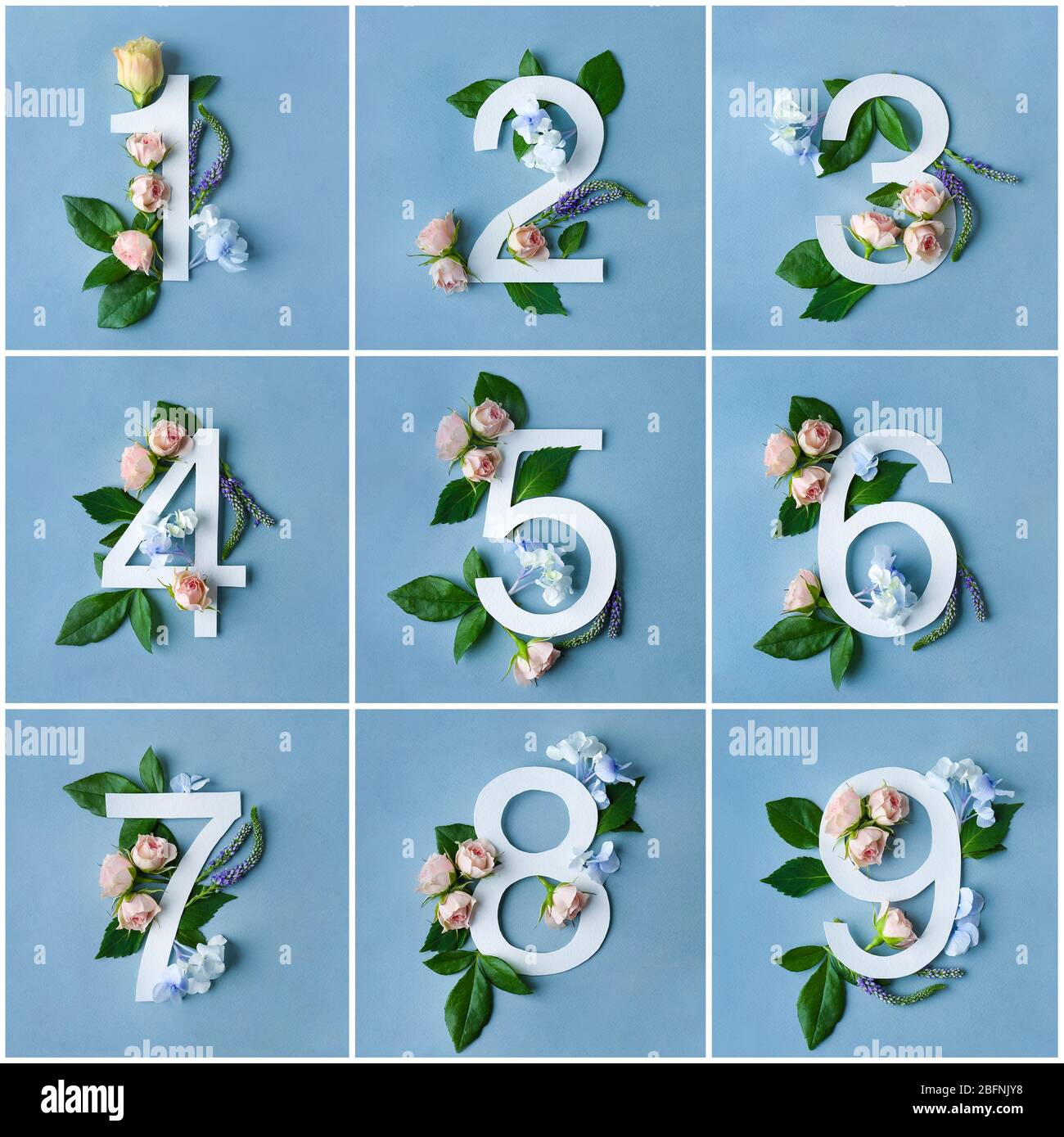 Numbers with floral decoration on blue background Stock Photo - Alamy