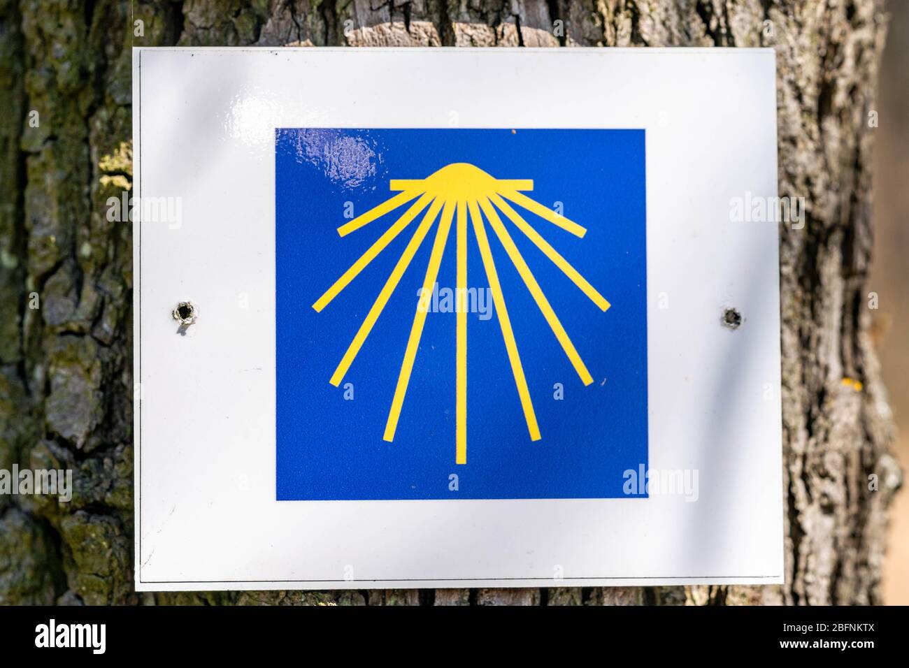 yellow shell on blue background symbol for the Way of St. James ...