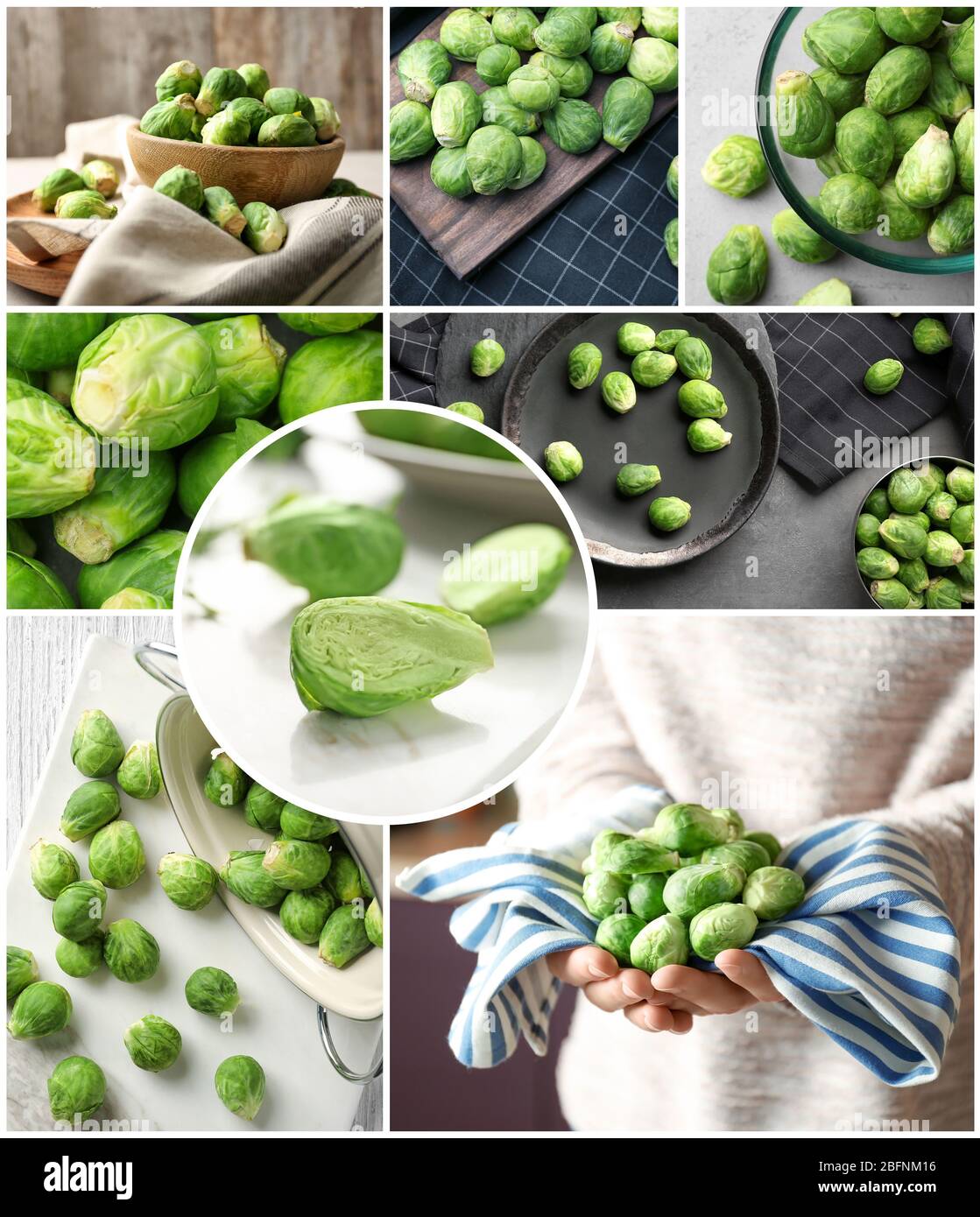 Brussel collage hi-res stock photography and images - Alamy