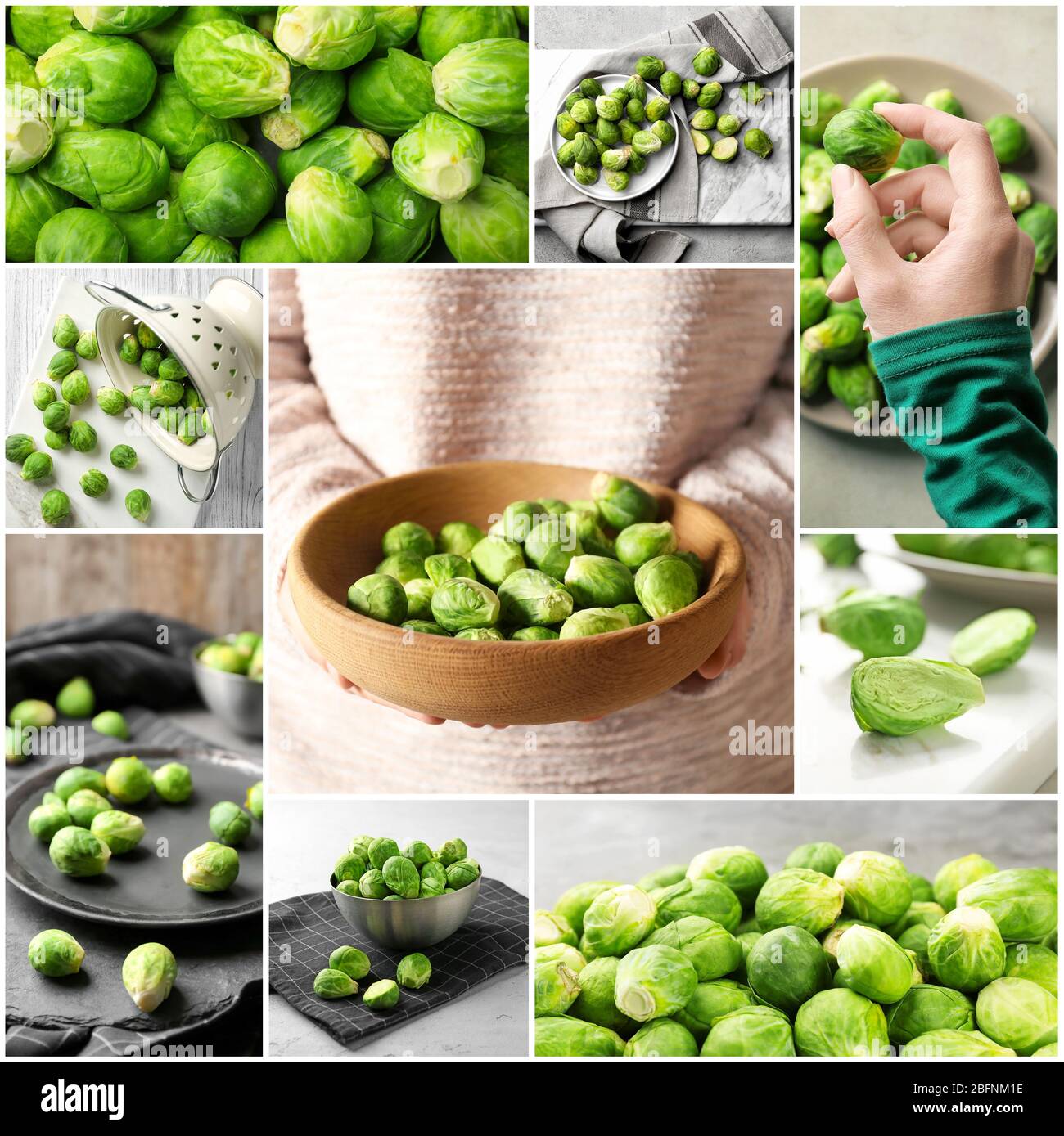 Brussel collage hi-res stock photography and images - Alamy