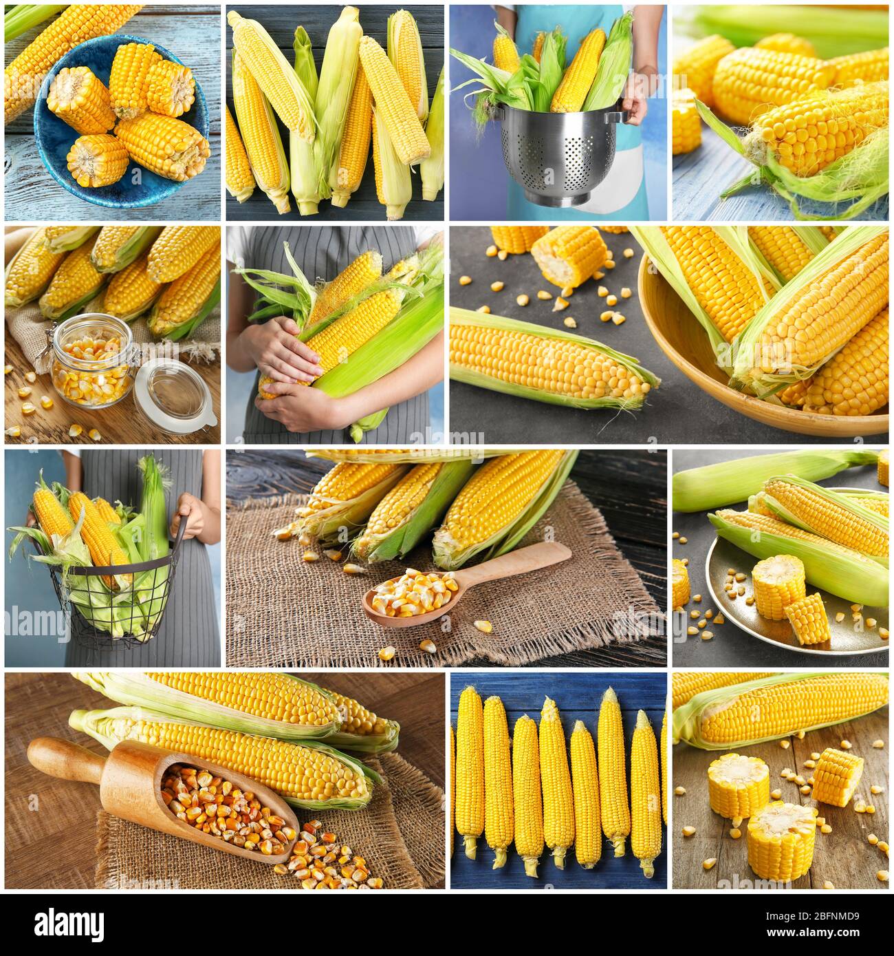 Ear collage Cut Out Stock Images & Pictures - Alamy