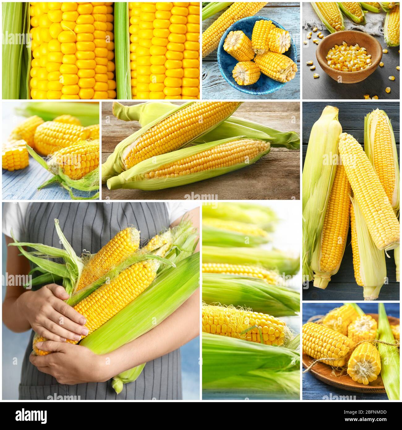 Ear collage Cut Out Stock Images & Pictures - Alamy