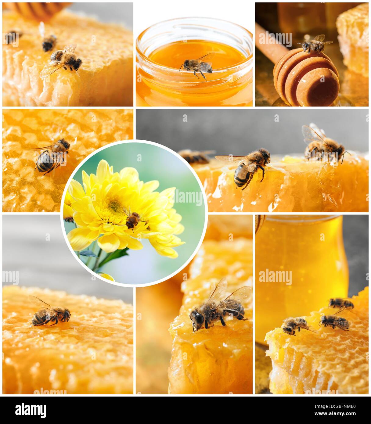 Collage with busy honey bees Stock Photo - Alamy