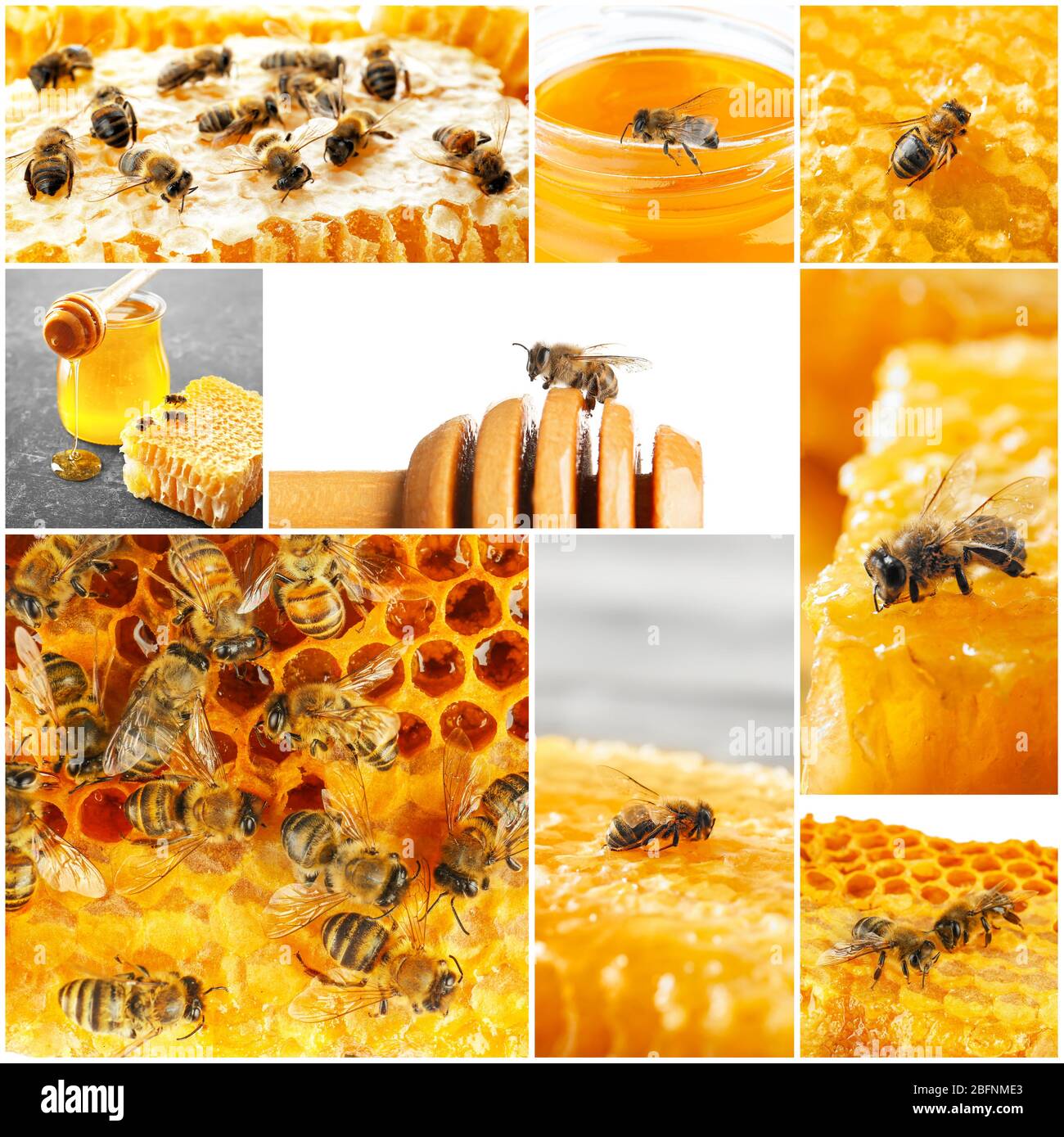 Collage with busy honey bees Stock Photo - Alamy